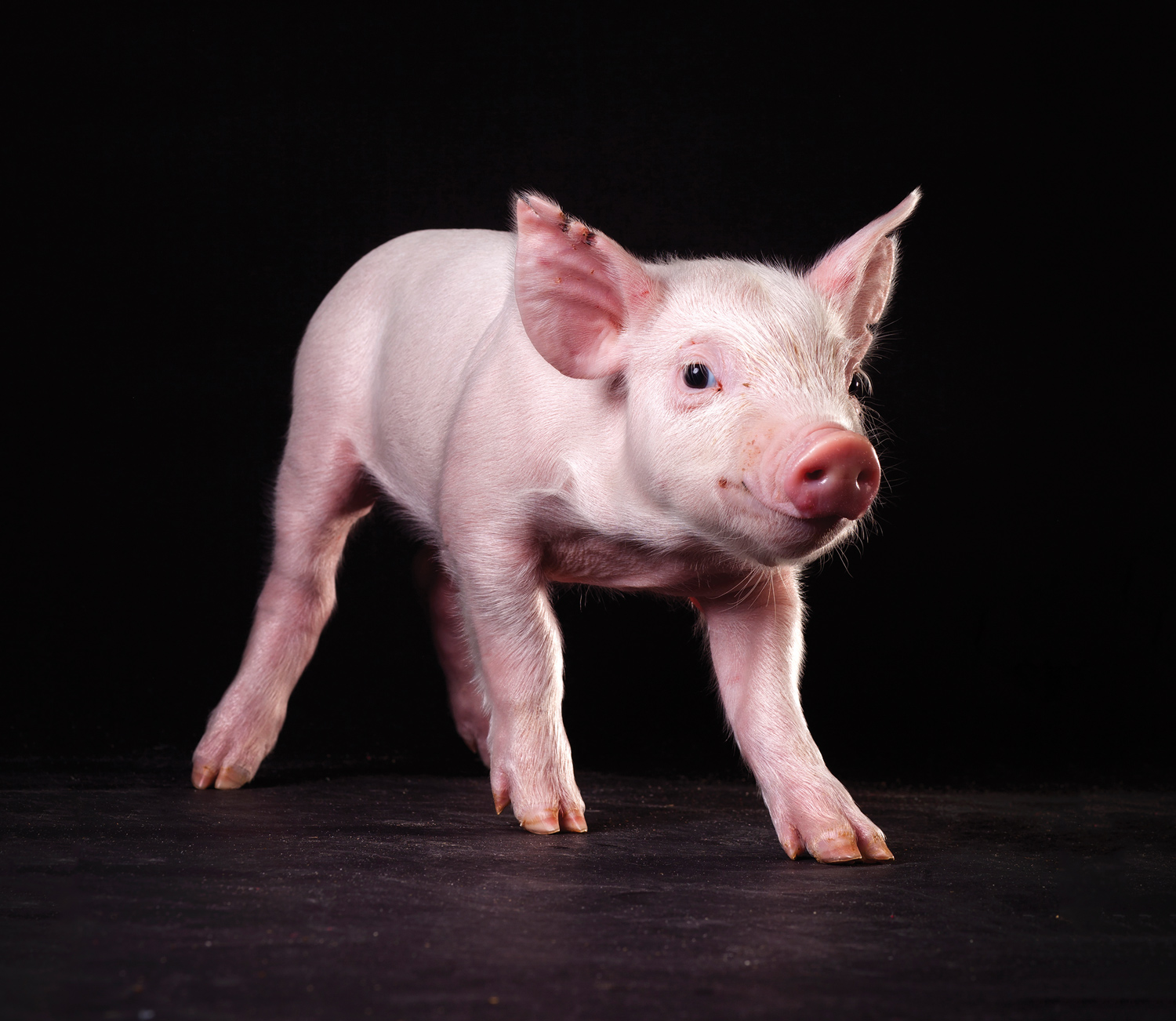 Discovering NextGen health