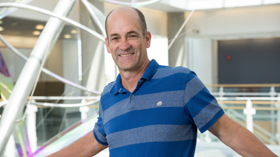 Piecing together the puzzles of bird genomes