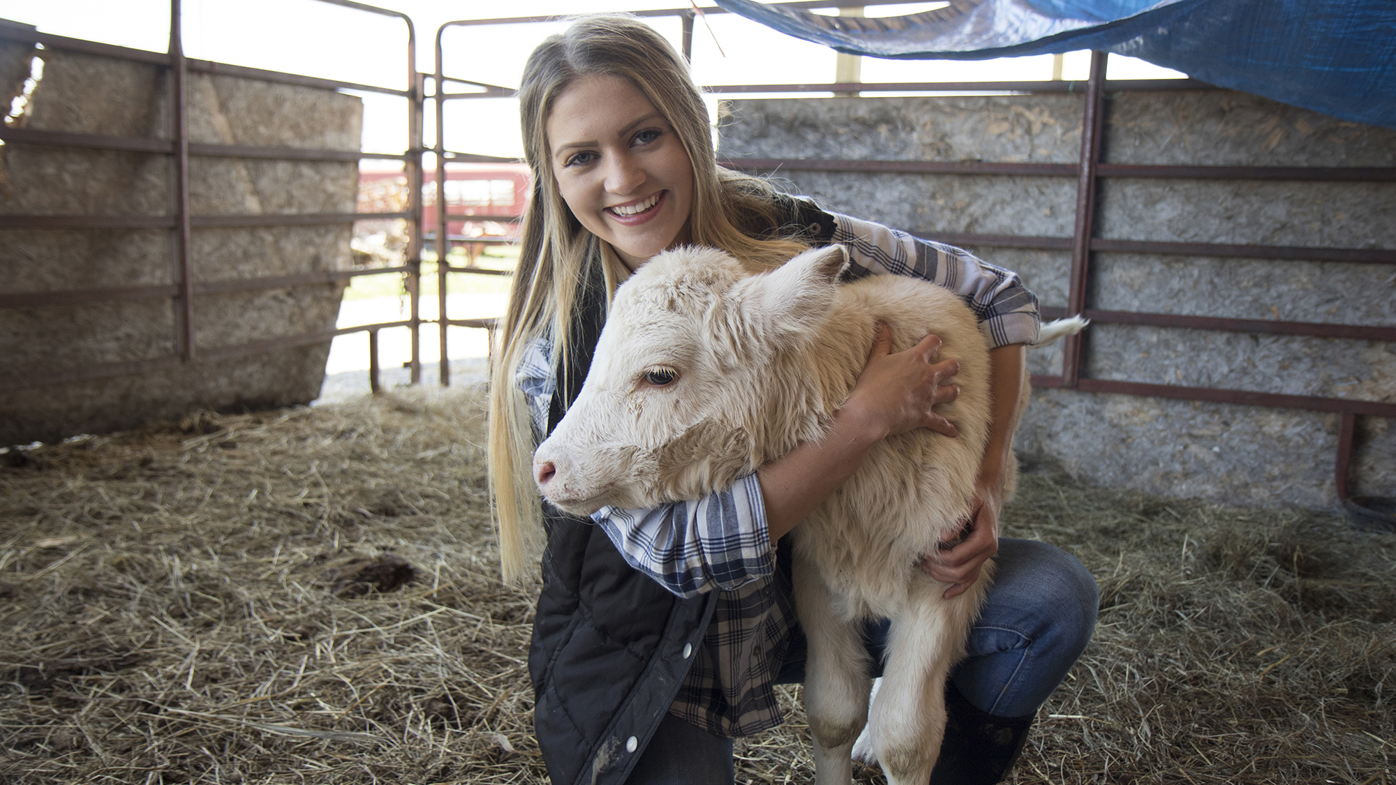 Libby Martin receives Women of Achievement Award