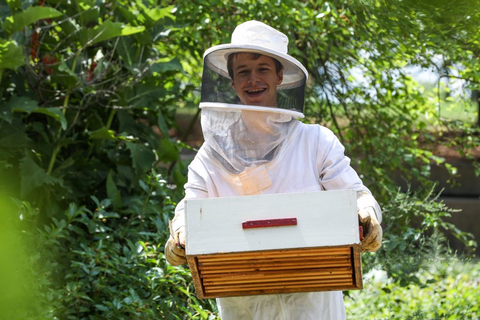 Getting A’s and keeping bees