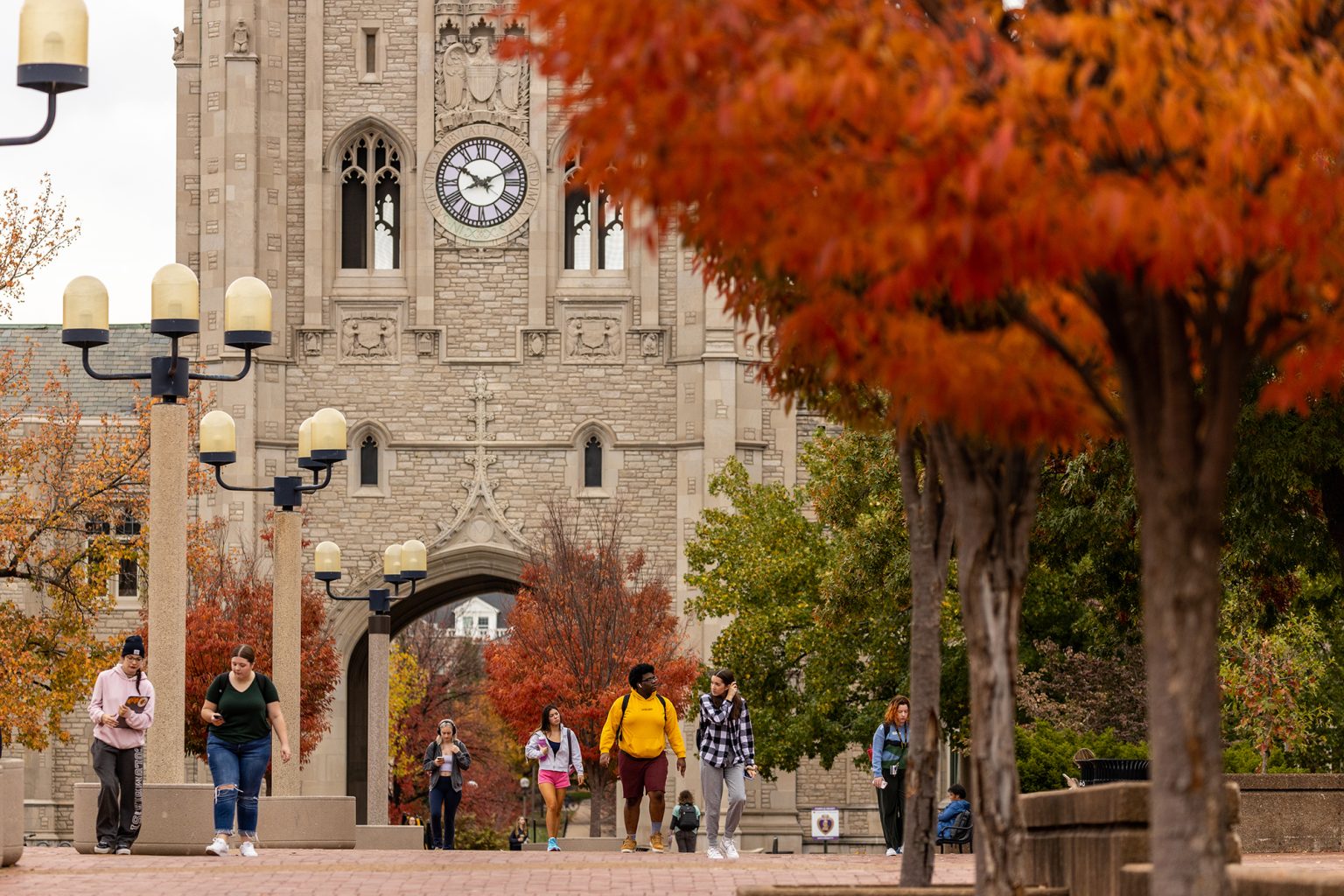 Photo gallery: Campus gets an autumn glow-up