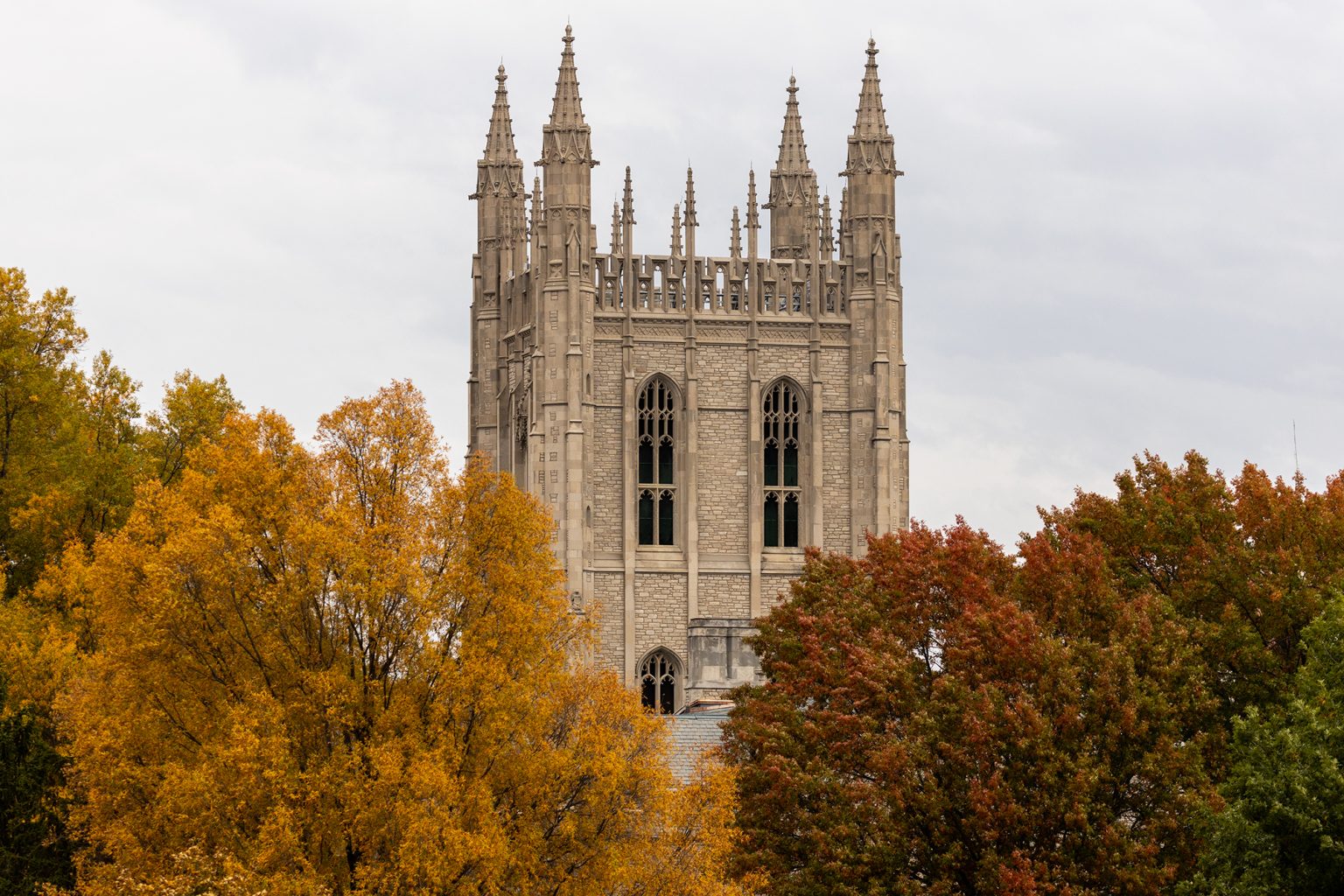 Photo gallery: Campus gets an autumn glow-up