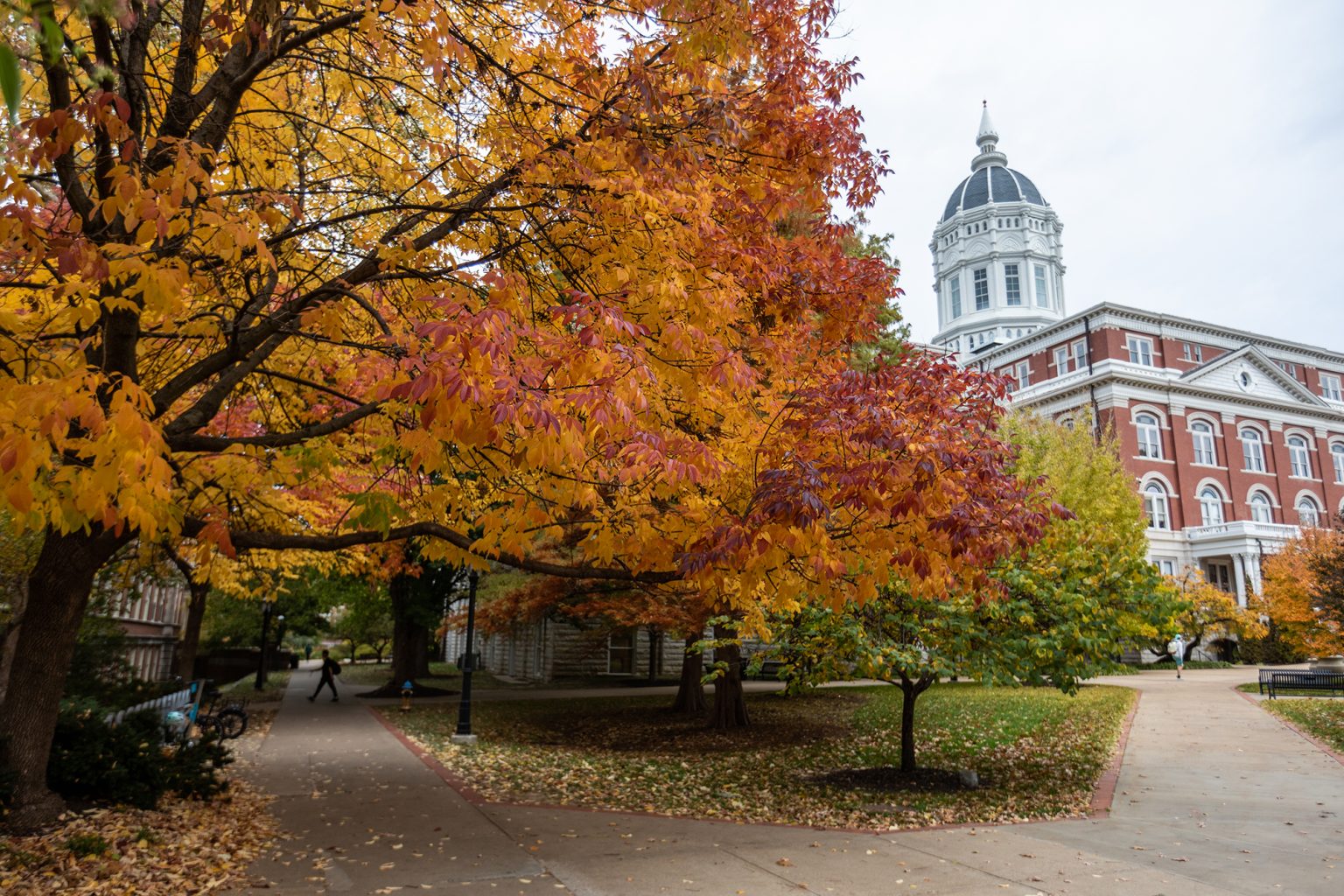 Photo gallery: Campus gets an autumn glow-up