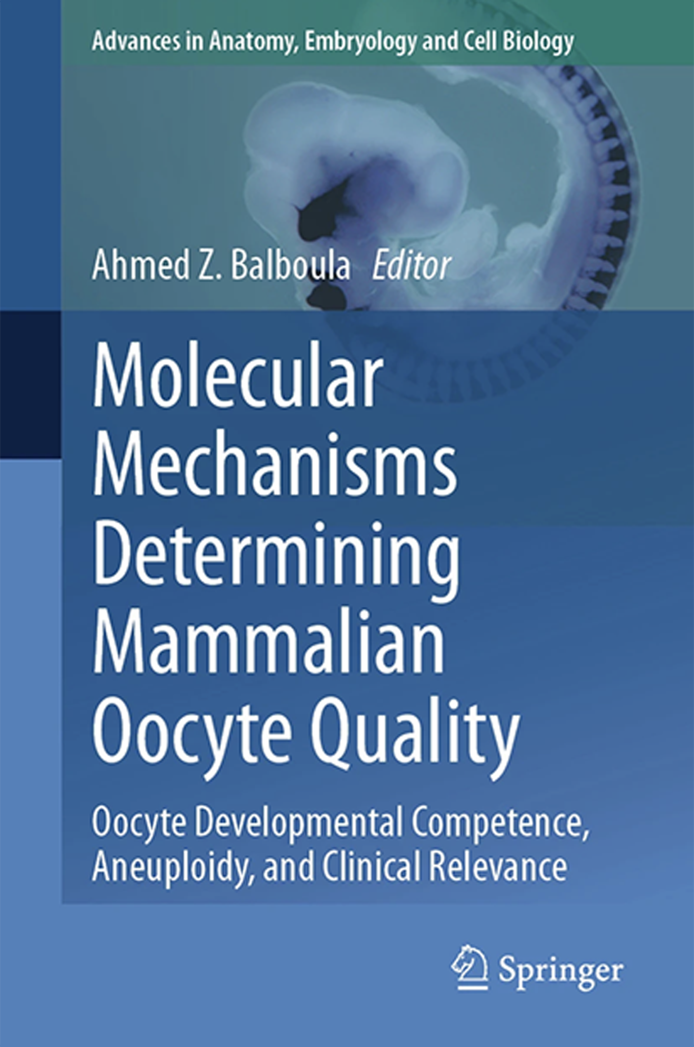 Mizzou celebrates 2024 published authors