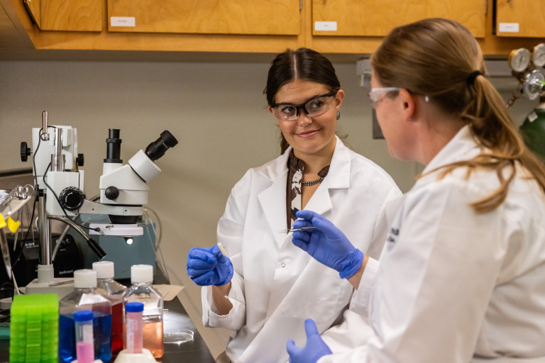 10 things you’ll see on a Mizzou campus tour