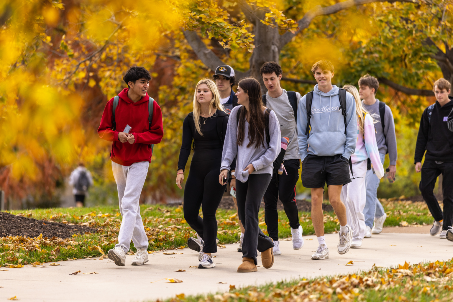 Photo gallery: Autumn leaves paint Mizzou red and gold