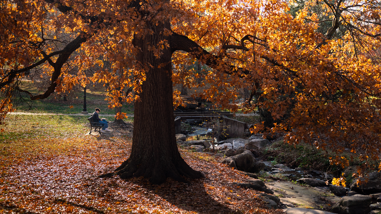 Photo Gallery: November photos of the month